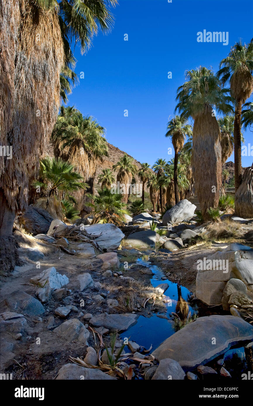 Indian Canyons in Palm Springs Stock Photo - Alamy