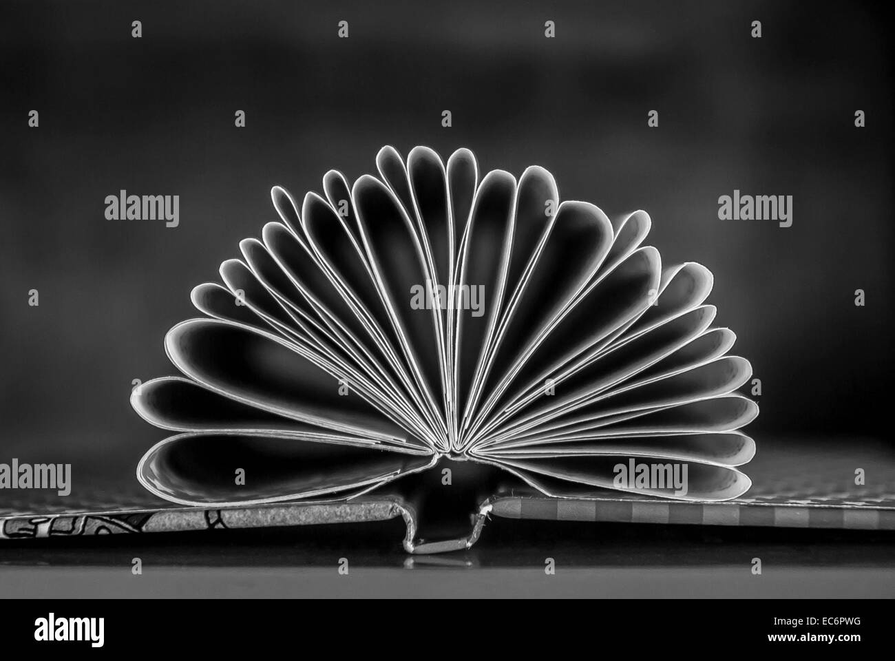 Unfolded book hi-res stock photography and images - Alamy