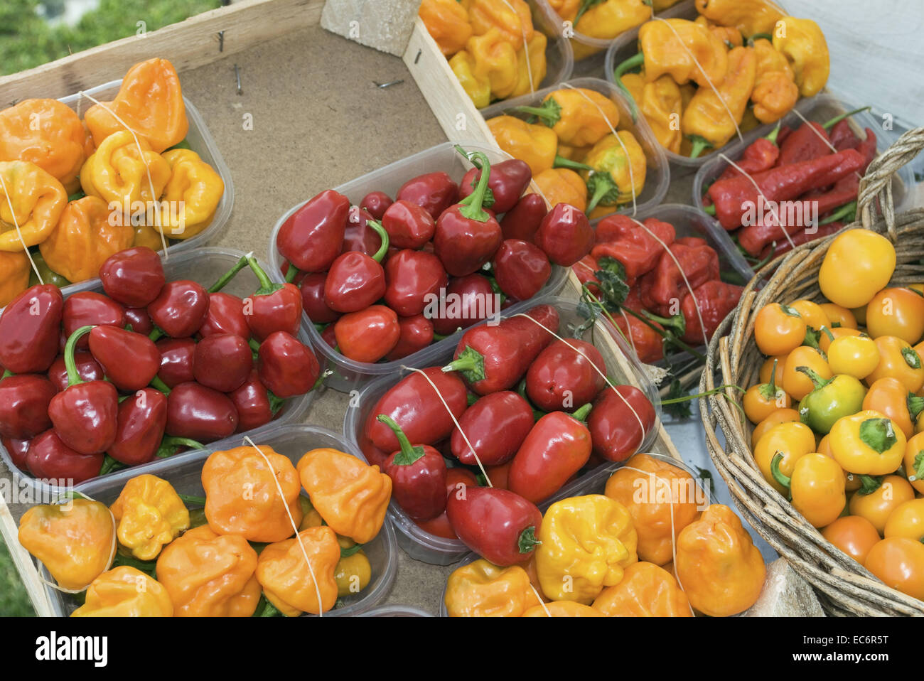 assorted peppers in wooden box Stock Photo - Alamy