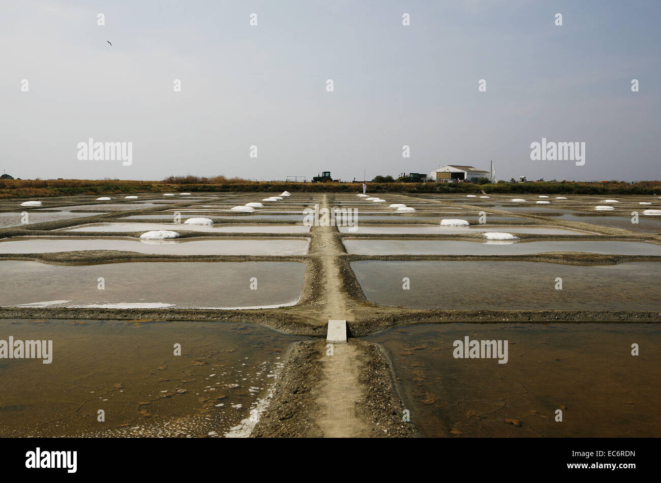 sea salt salt marsh salinas france noirmoutier island sea salt ...