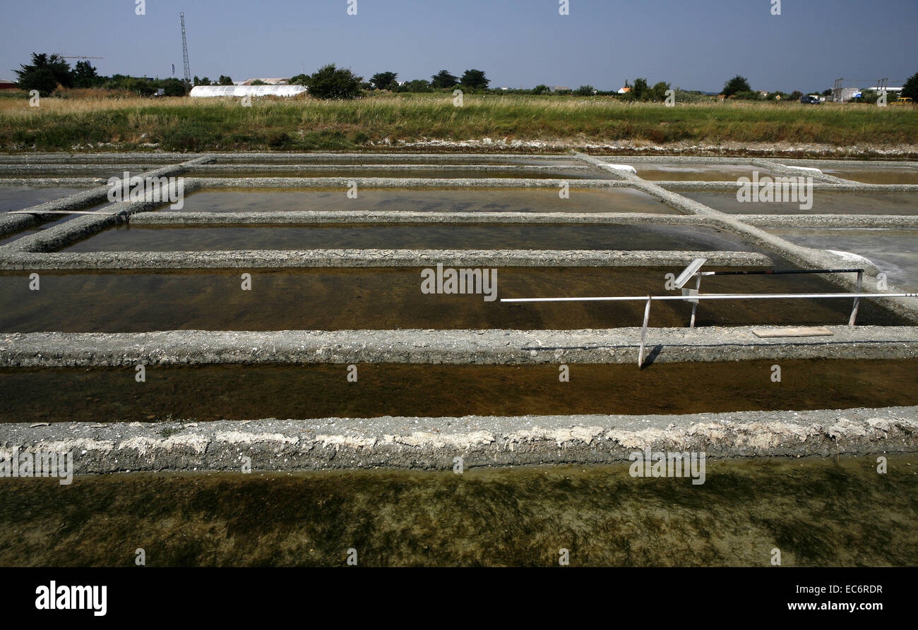 Saline salt hi-res stock photography and images - Alamy