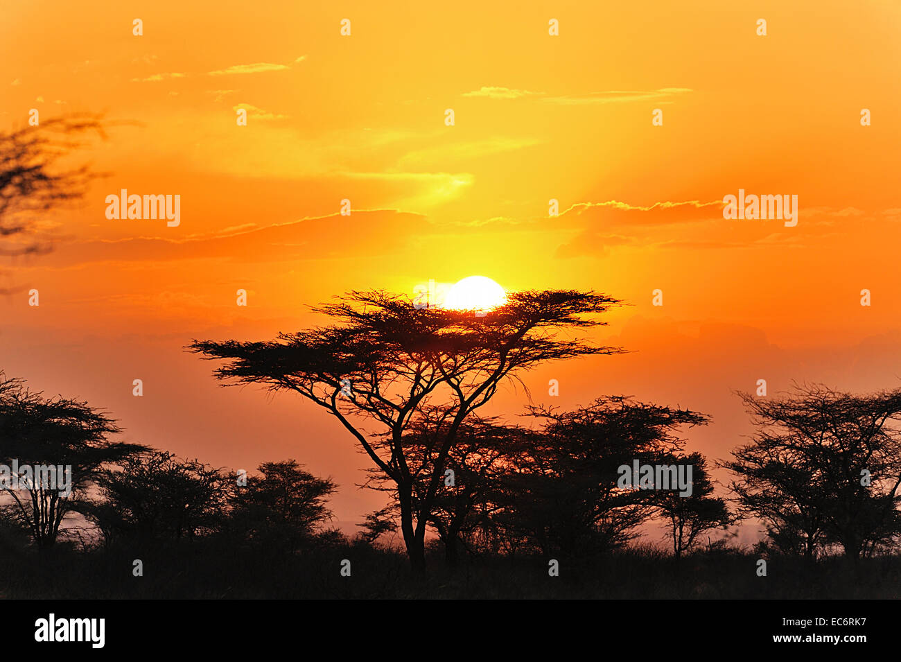 Sunset in Africa Stock Photo - Alamy
