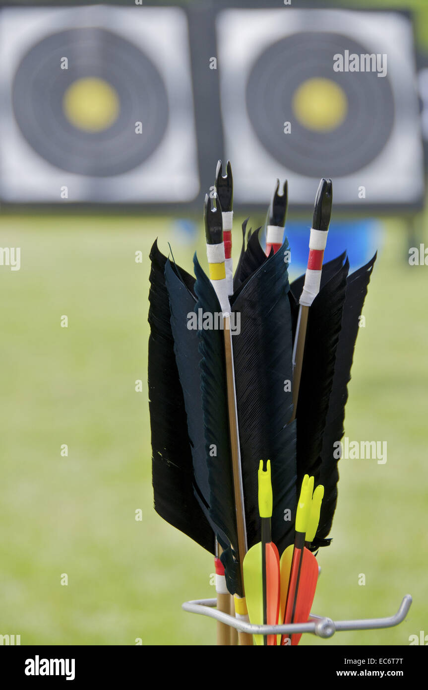 Yellow fletching High Resolution Stock Photography and Images - Alamy