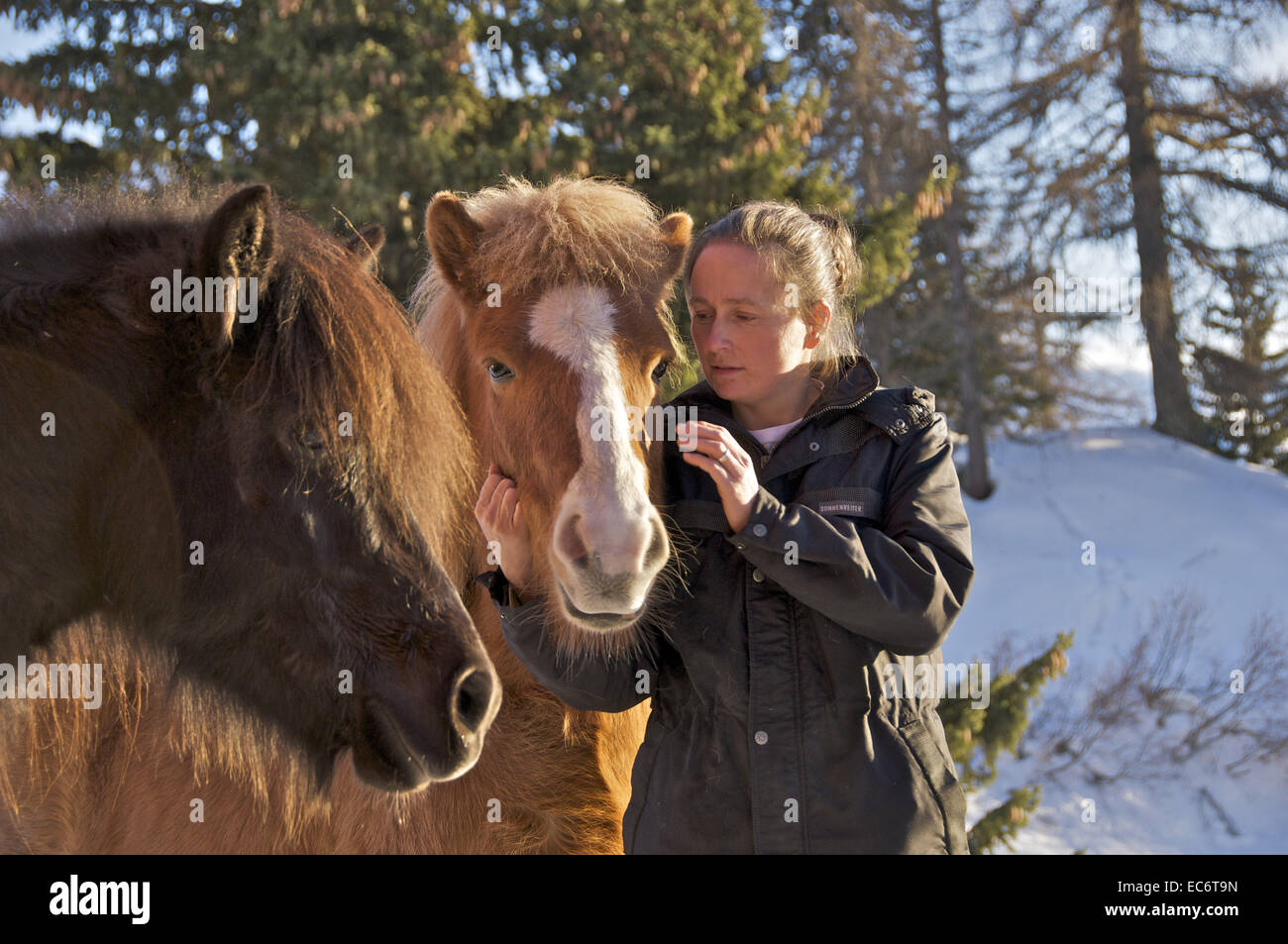 Two loving horses horse hi-res stock photography and images - Alamy