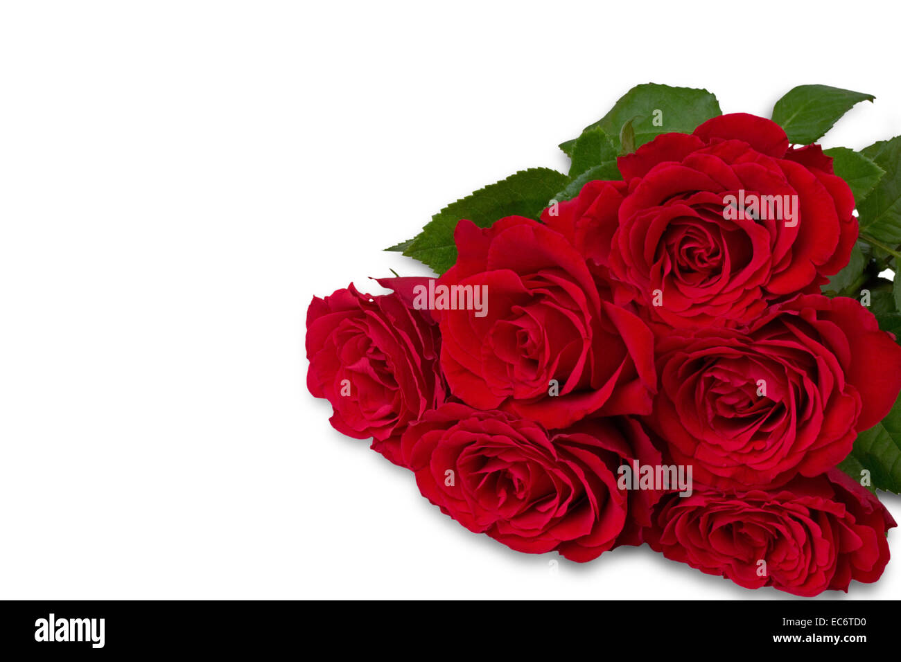 Bunch of red roses on white background Stock Photo - Alamy