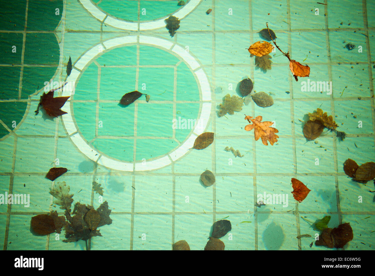 Swimming pool in the fall Stock Photo - Alamy
