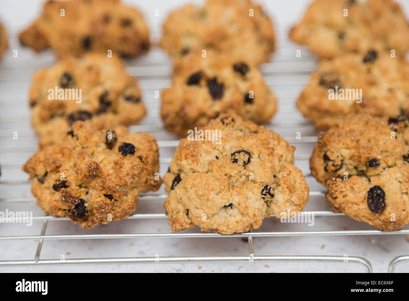 Rock cakes, a traditional British teatime treat, home-baked small fruit ...