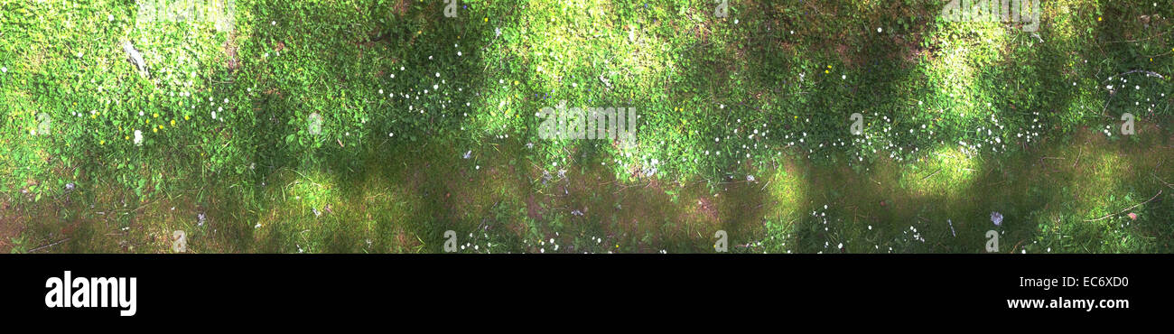 trail with shadow Stock Photo - Alamy