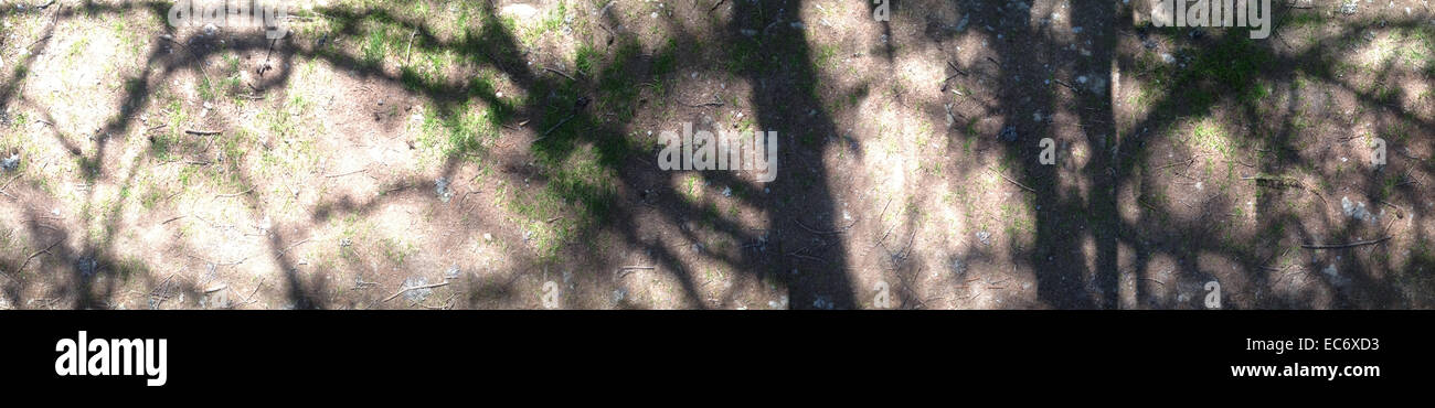 trail with shadow of trees Stock Photo - Alamy