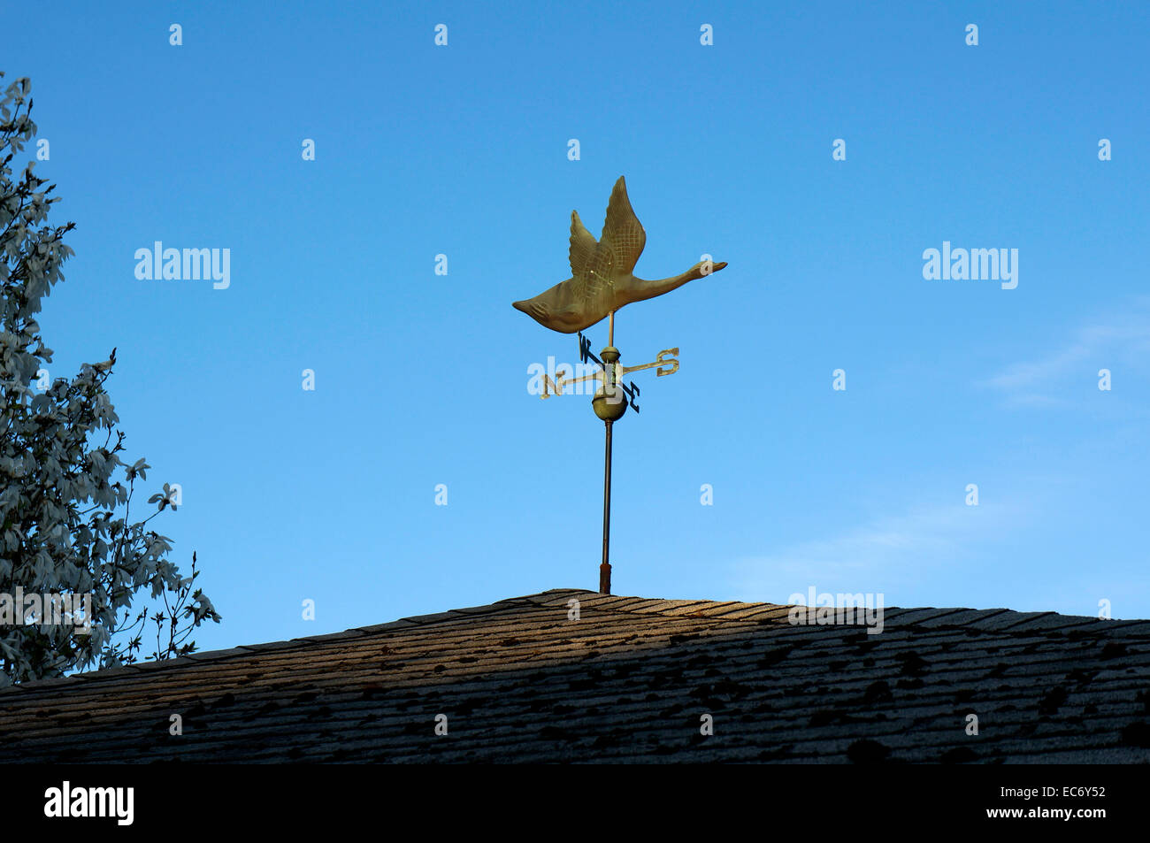 Weather Vane House High Resolution Stock Photography and Images - Alamy
