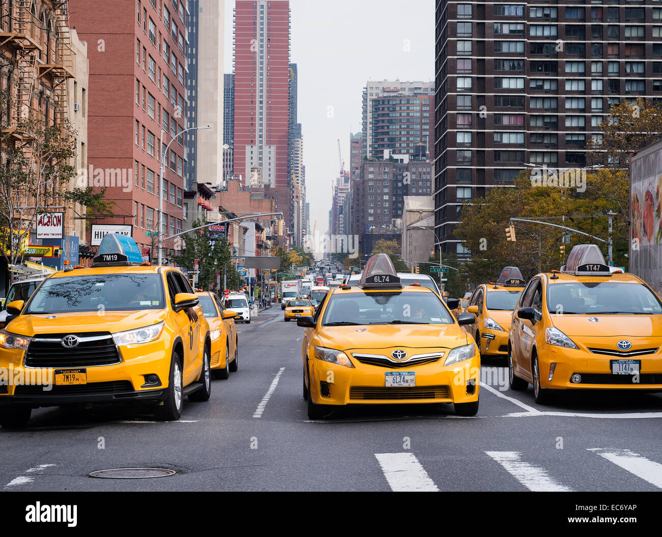 Taxis in NYC Stock Photo - Alamy
