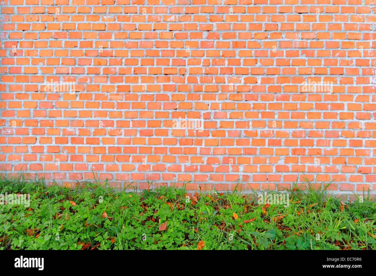 bricks and grass texture Stock Photo - Alamy