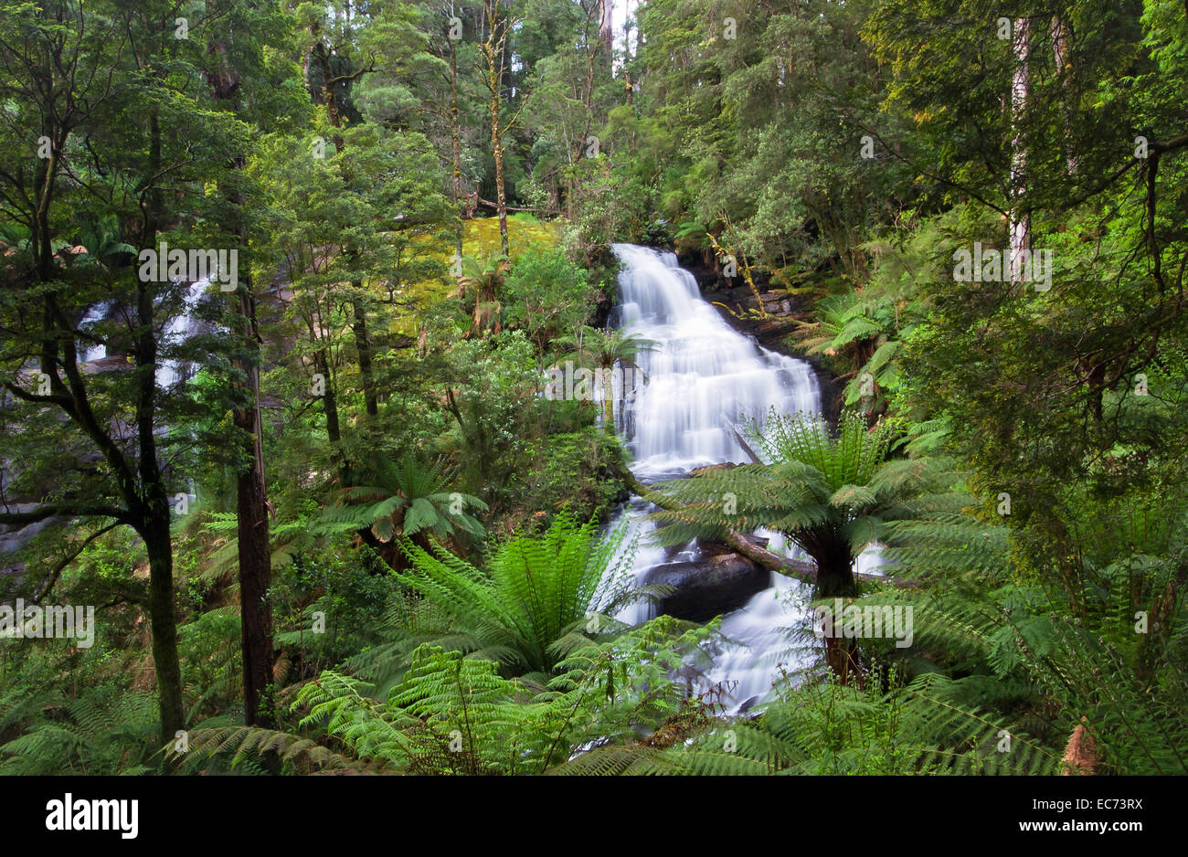 Triplet Falls, Cape Otway National Park, Victoria, Australia Stock ...