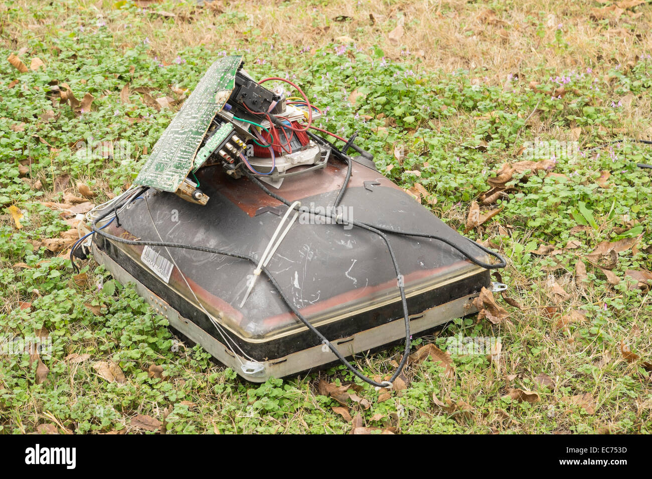 Discarded and broken insides of television with picture tube CRT laying ...