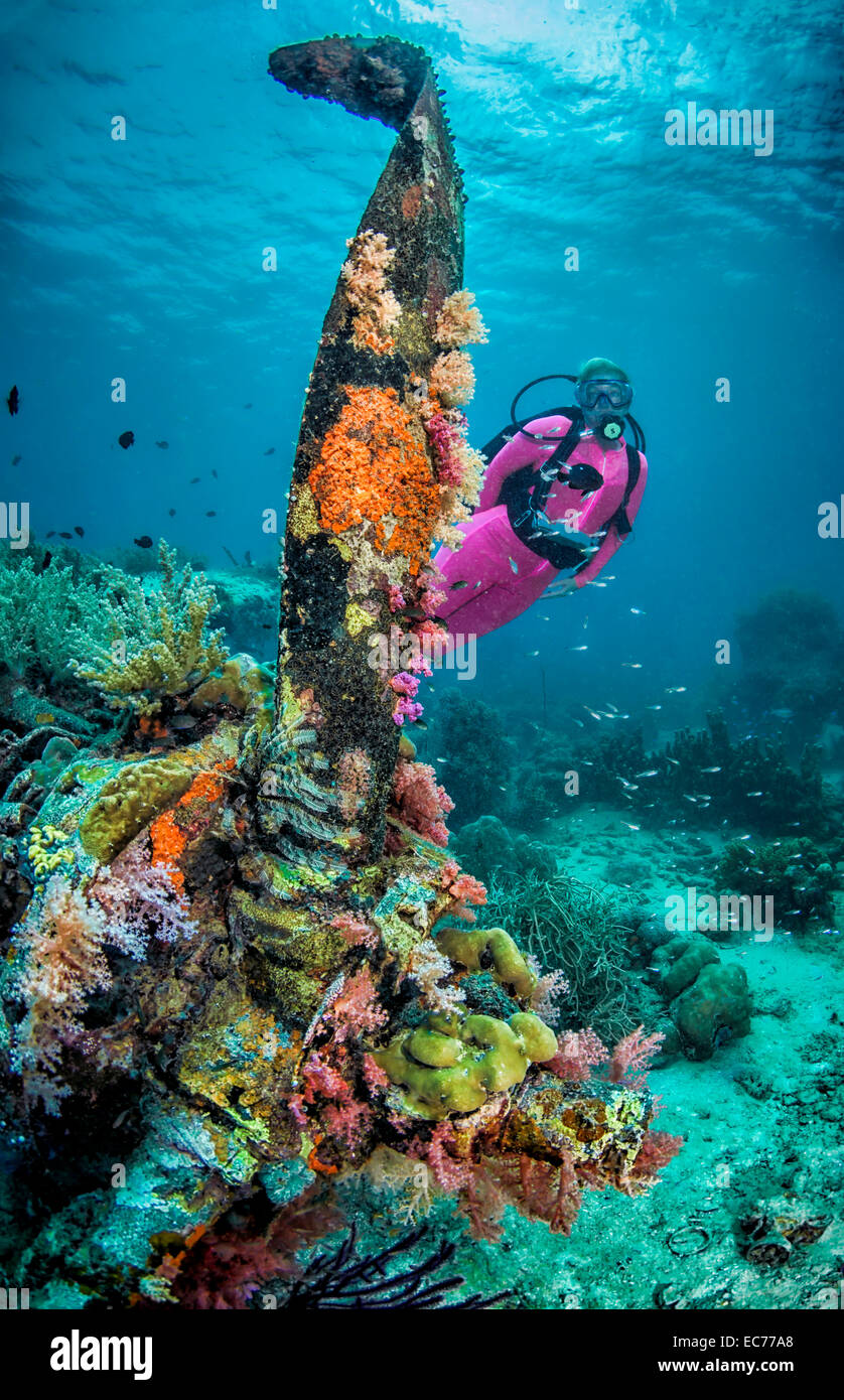 Female scuba diver exploring Lockheed P-38 WW2 wreck Stock Photo - Alamy