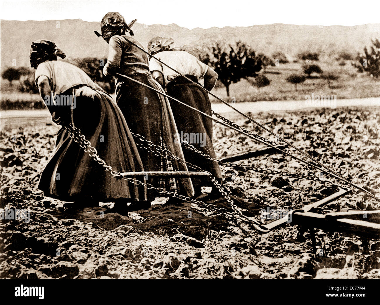 Heroic Women of France. Hitched to the plow, cultivating the soil. All ...