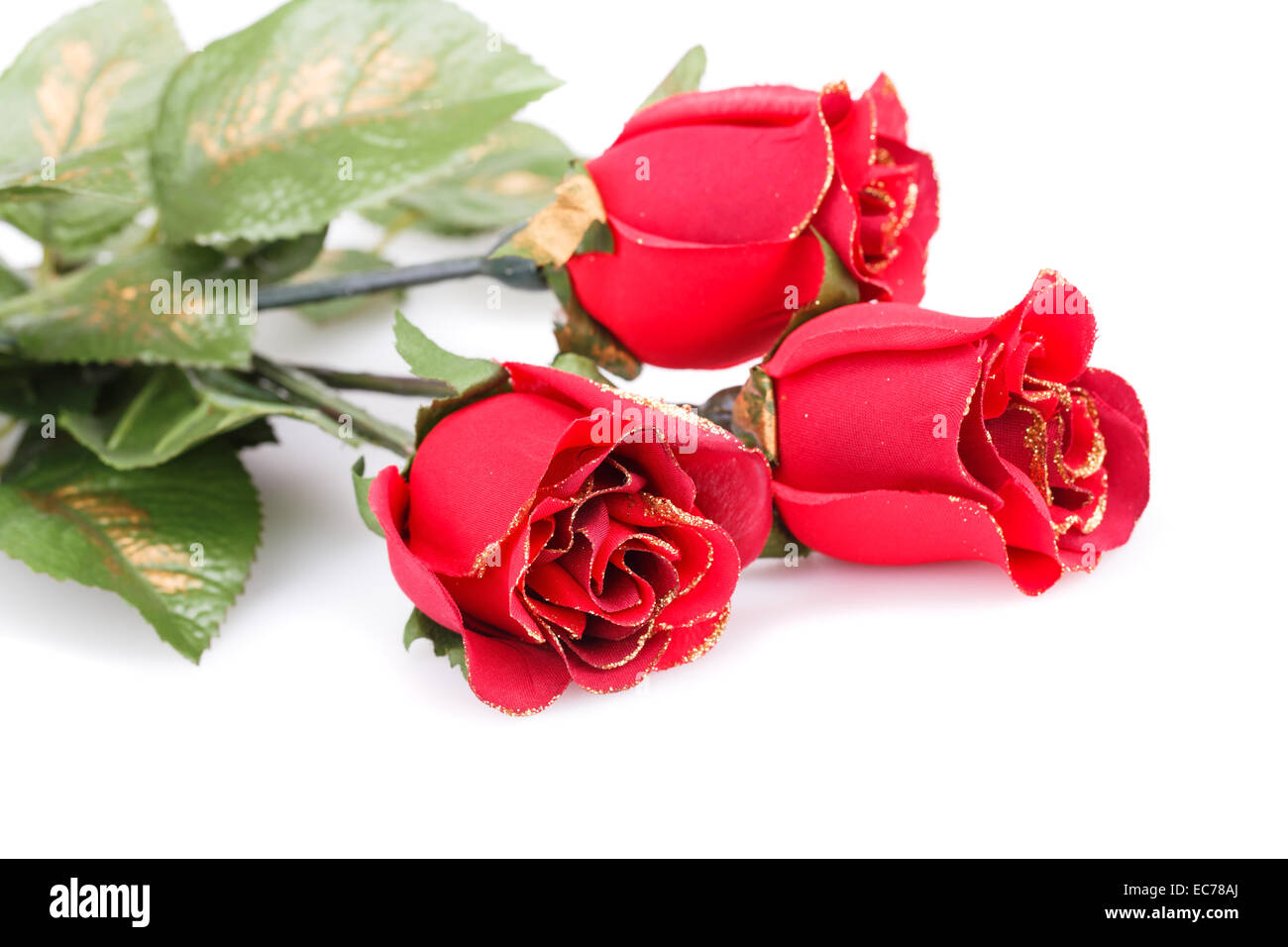 Red roses isolated on white background Stock Photo - Alamy