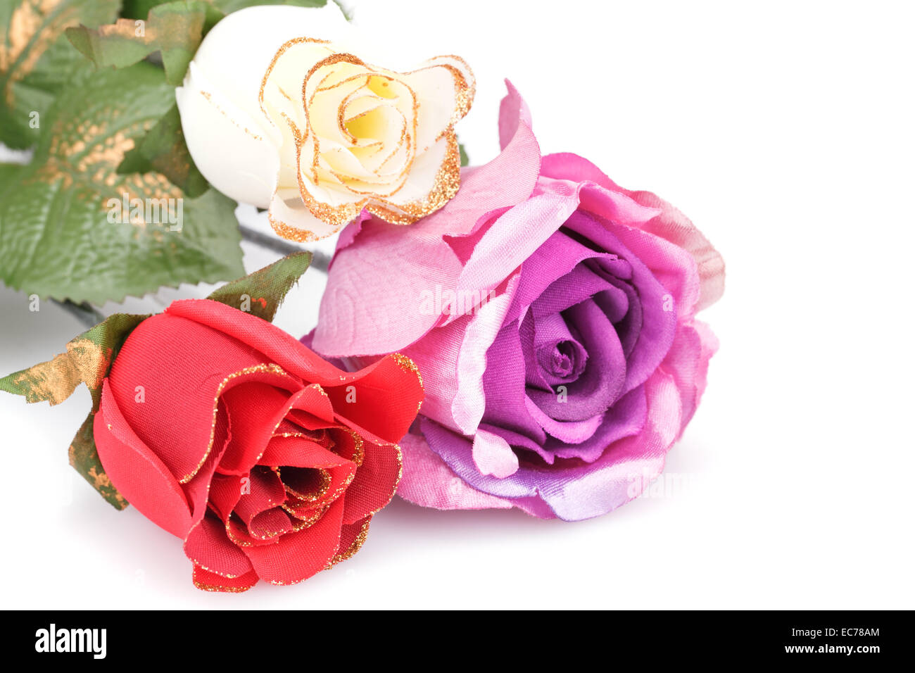 Colorful roses isolated on white background Stock Photo - Alamy