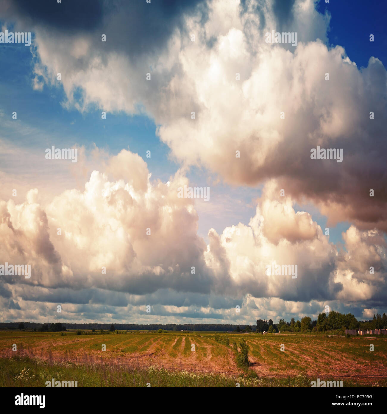 Empty country landscape with dramatic cloudy sky. Vintage toned square ...