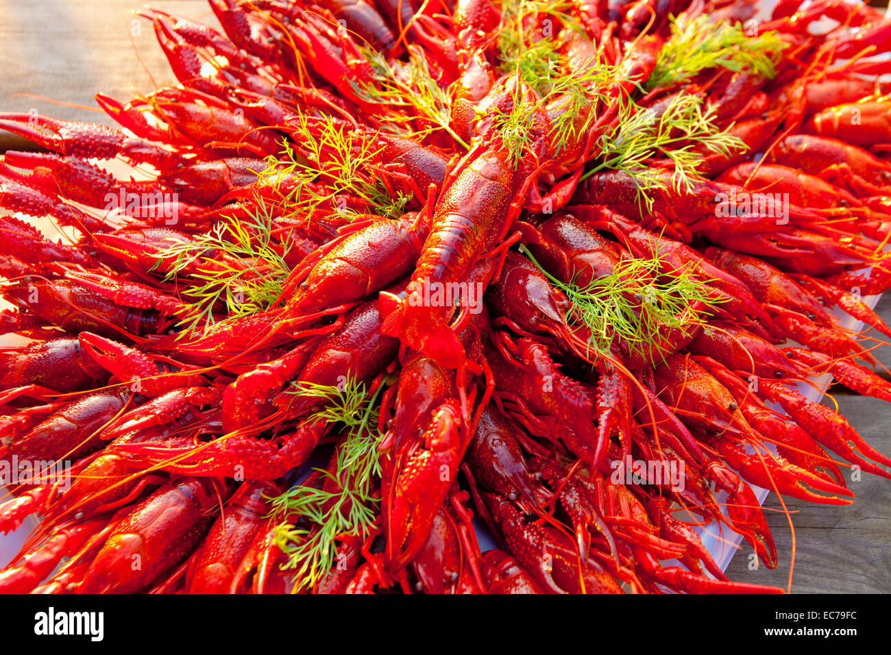Sweden - Crayfish with dill eaten at traditional swedish crayfish party ...