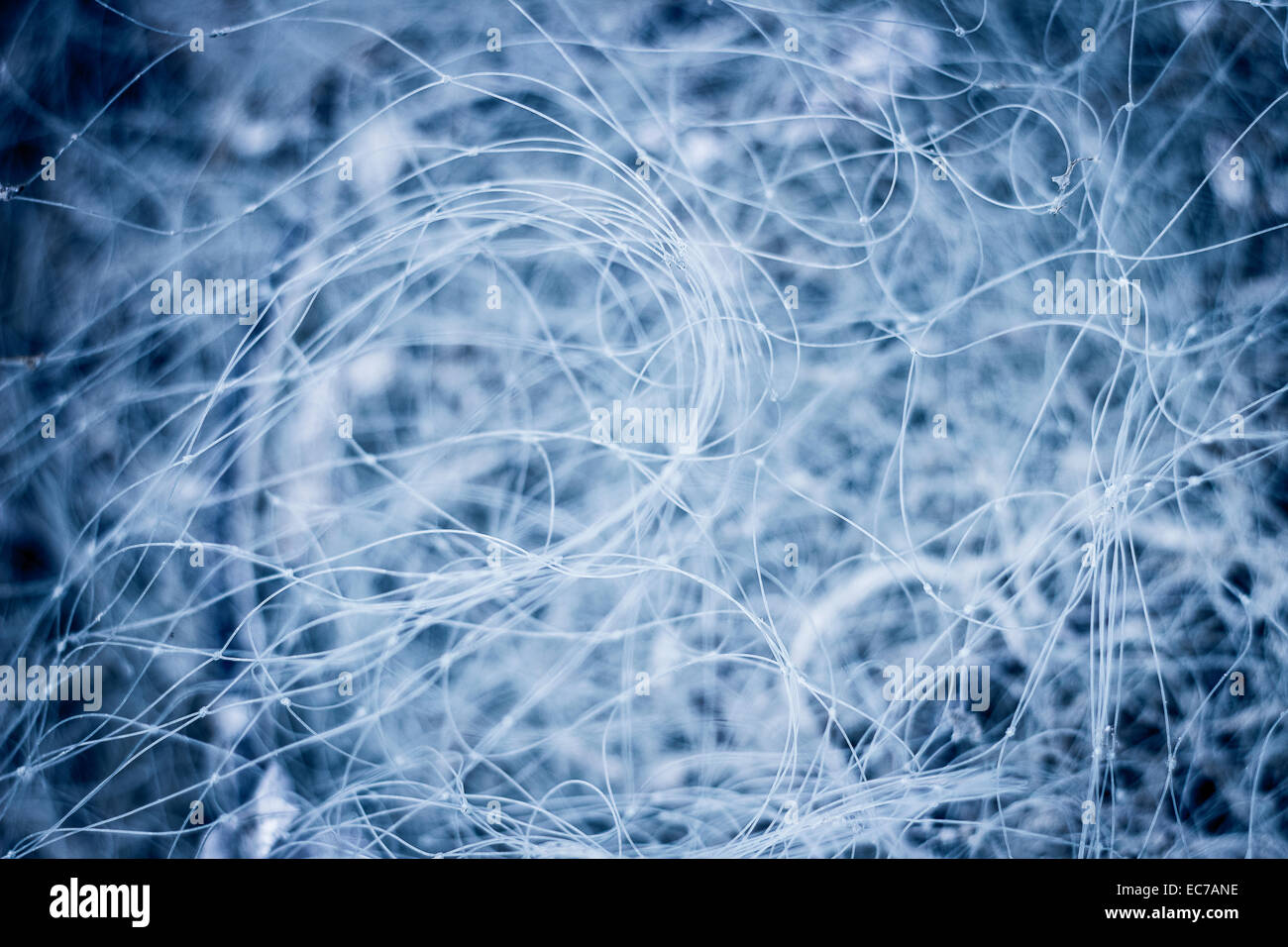 White theads of net, close-up Stock Photo - Alamy