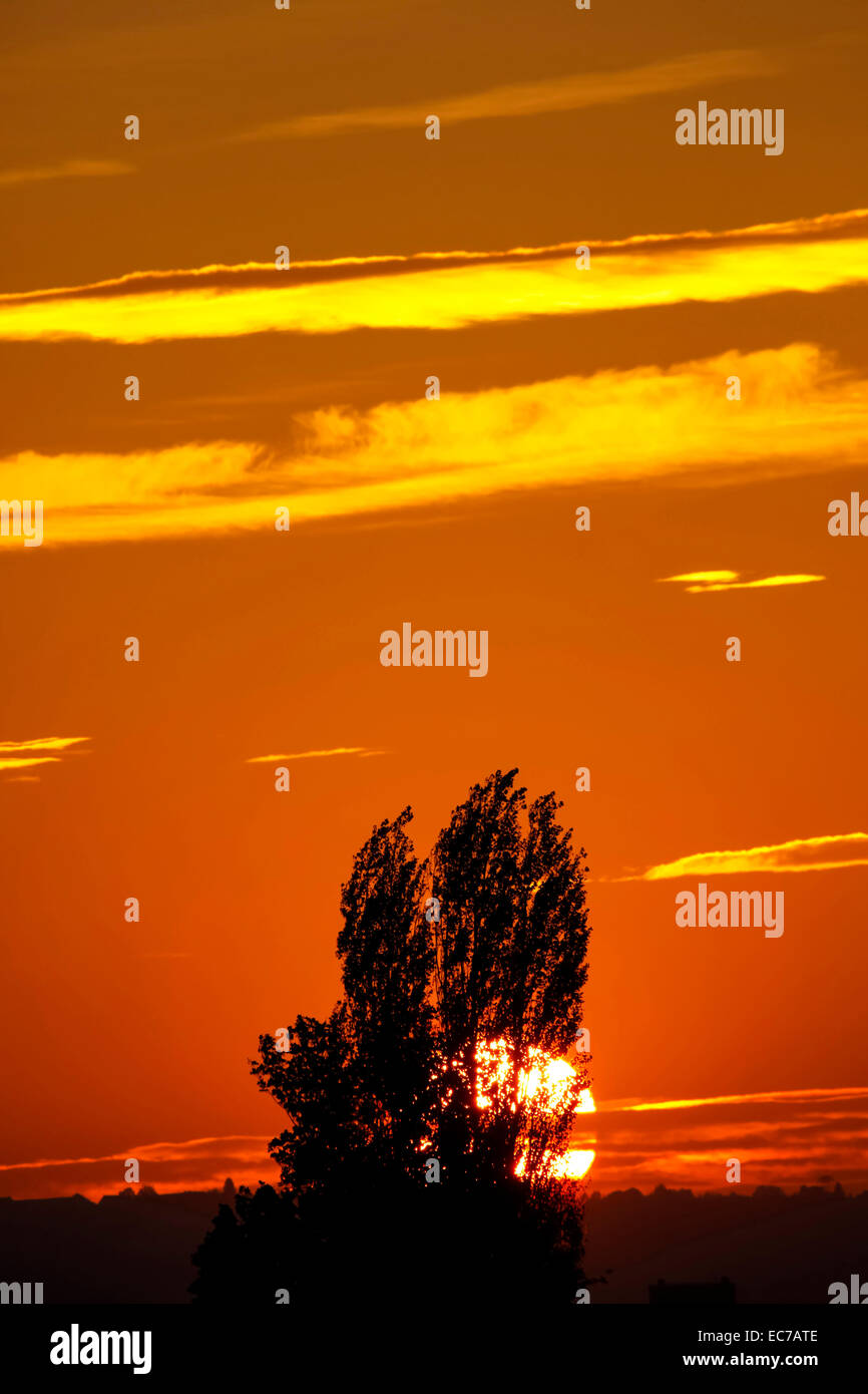 Germany, Autum sun in the evening Stock Photo - Alamy