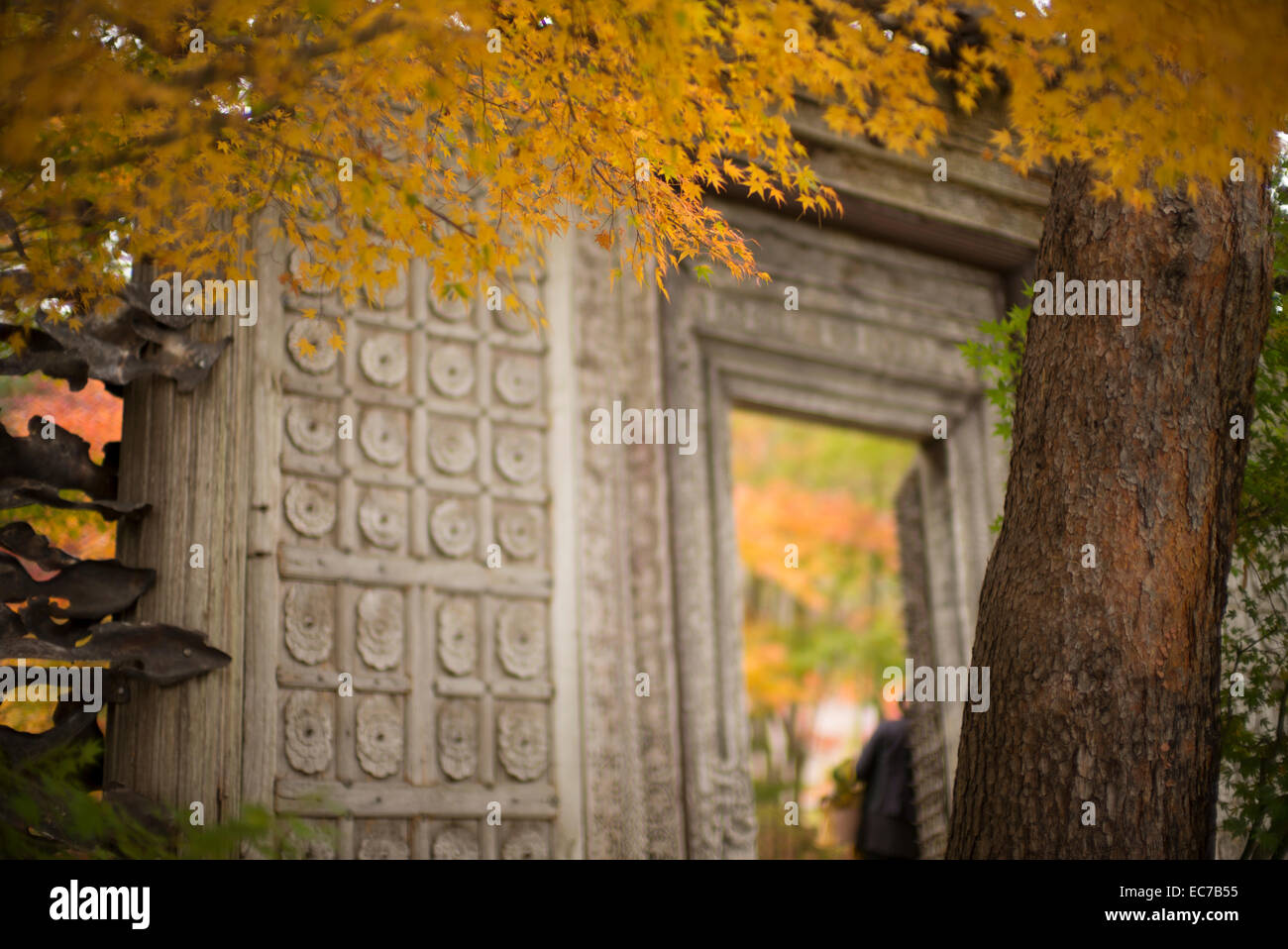 Japanese garden entrance at the Maple Corridor, Kawaguchiko, Japan ...