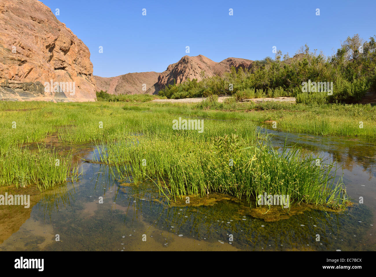 Africa, Namibia, Kunene Province, Kaokoland, Namib Desert, water and ...