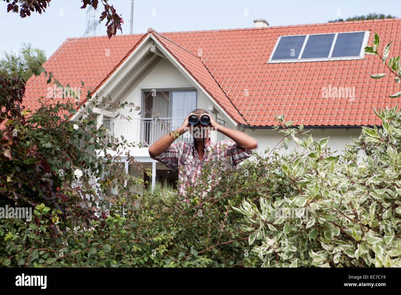 Looking through the hedge hi-res stock photography and images - Alamy