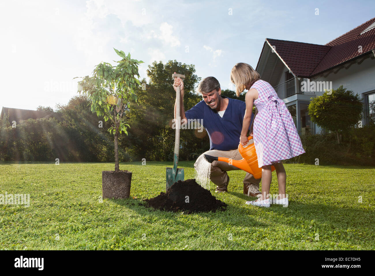 Father and daughter planting tree in garden Stock Photo - Alamy