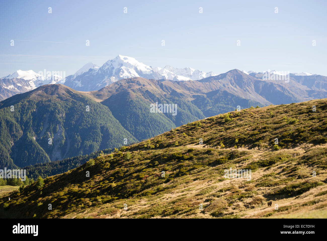 Italy, South Tyrol, Watles Area, View to Ortler Alps and Ortler Peak ...