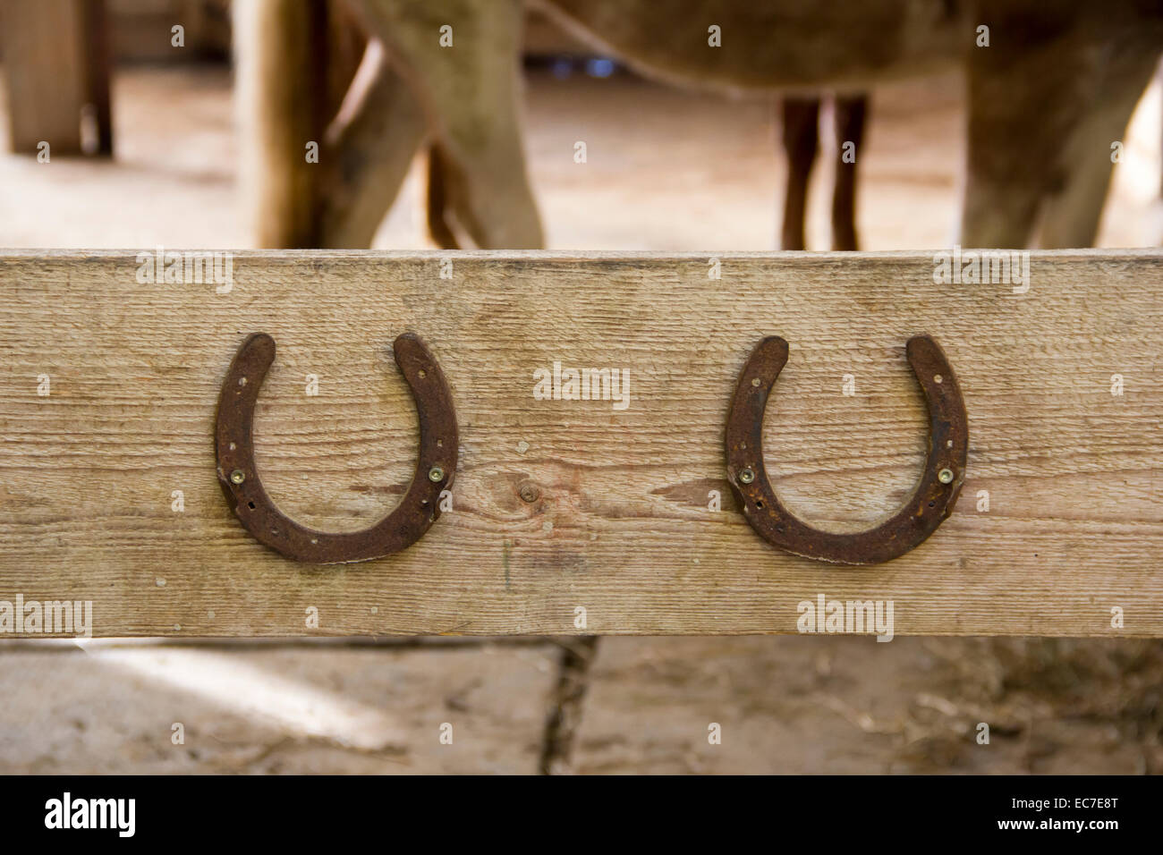 Two horseshoes hi-res stock photography and images - Alamy