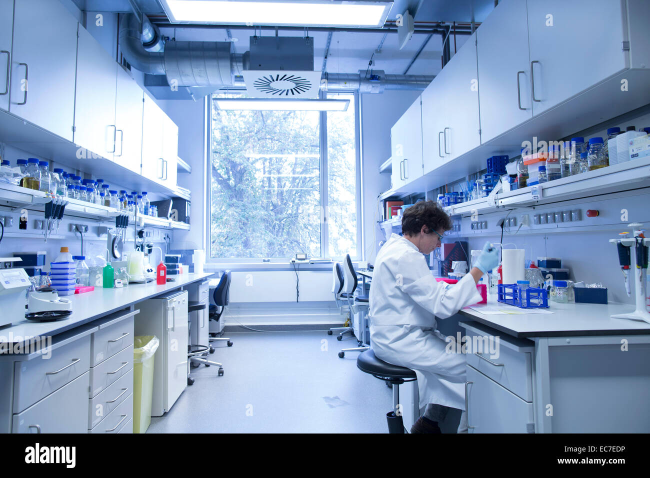 Female biologist working in a laboratory Stock Photo - Alamy