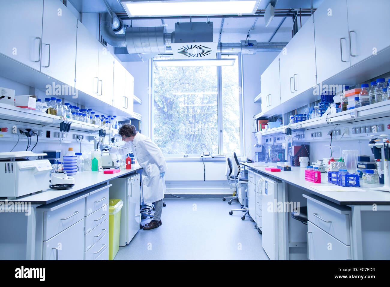 Female biologist working in a laboratory Stock Photo - Alamy