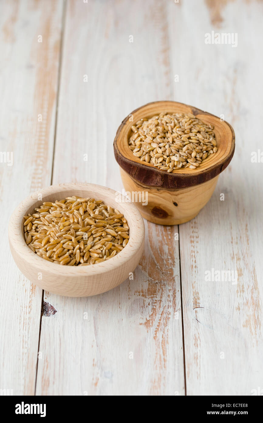 Bowl of polish wheat and bowl of Einkorn wheat, Triticum monococcum, on ...