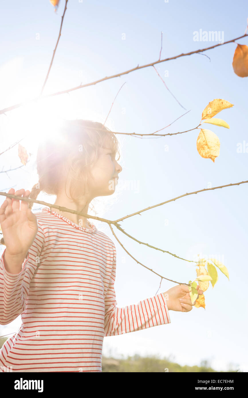 Profile of girl in backlight Stock Photo - Alamy