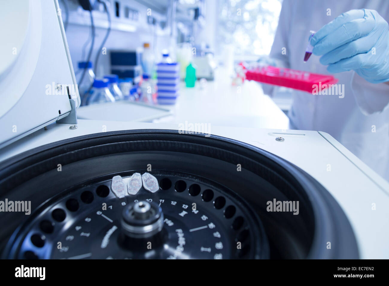 Female biologist putting tubes in centrifuge Stock Photo - Alamy