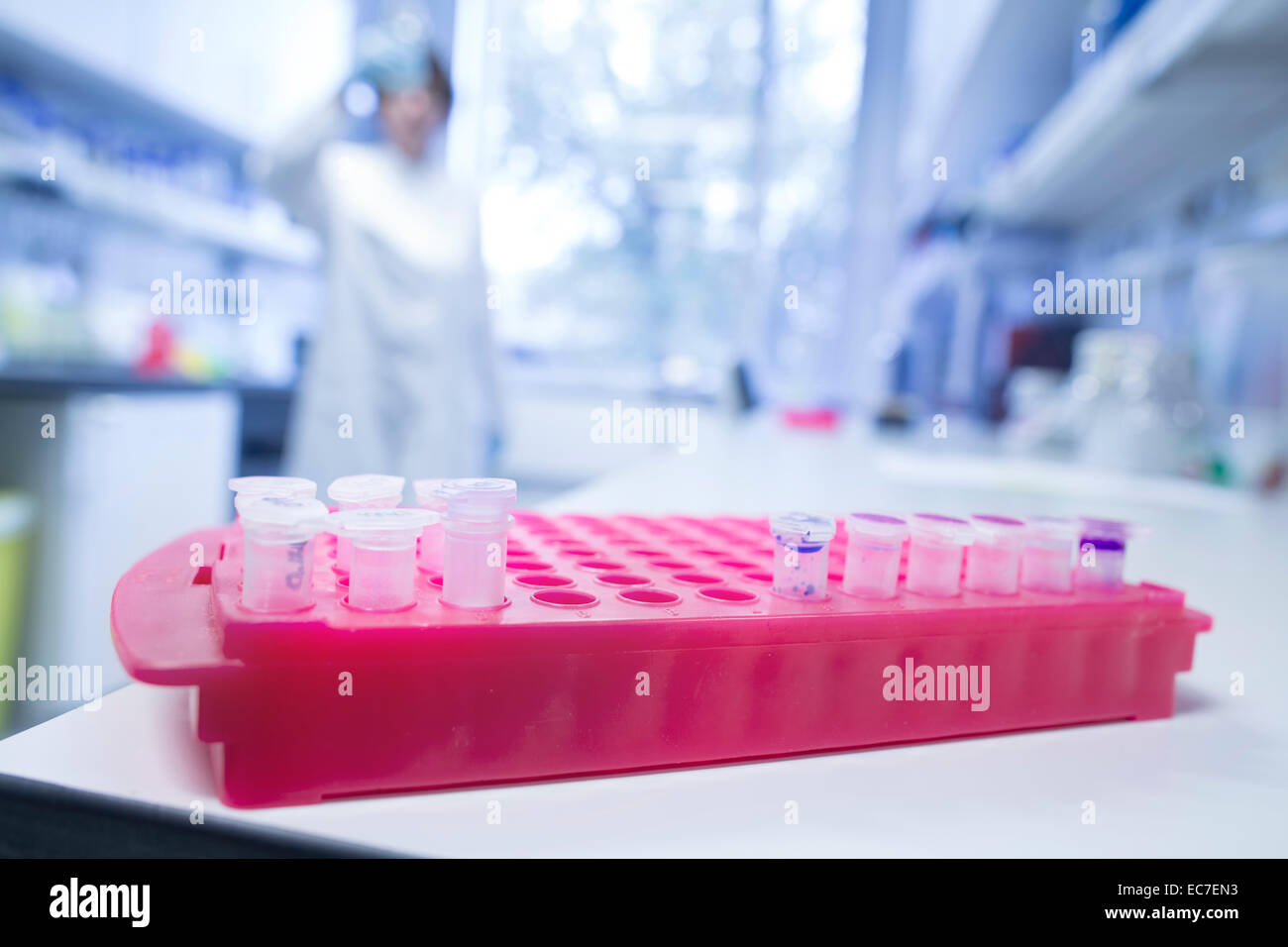 Pink rack with tubes in a laboratory Stock Photo - Alamy