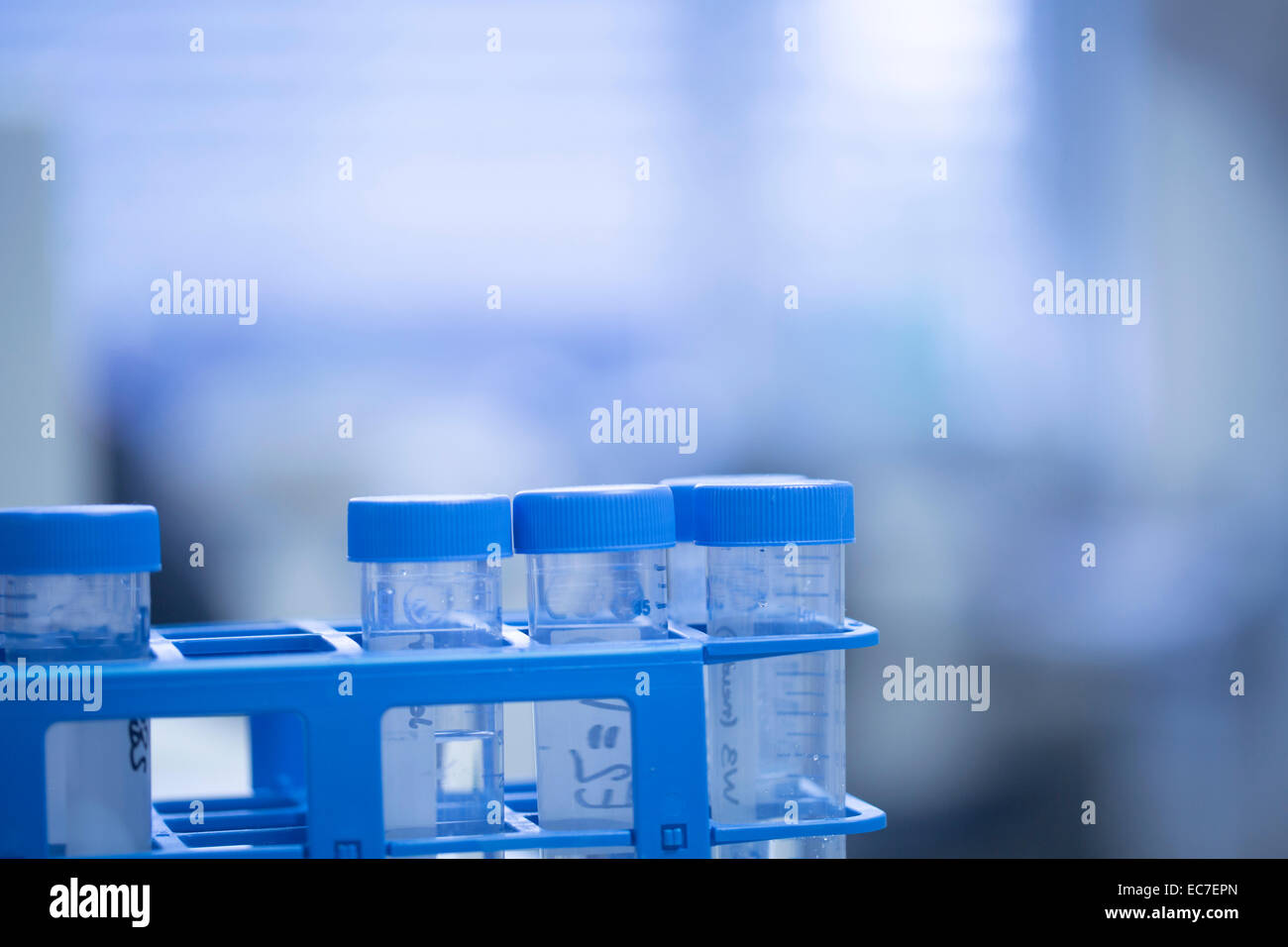 Tubes with liquids in a laboratory Stock Photo - Alamy