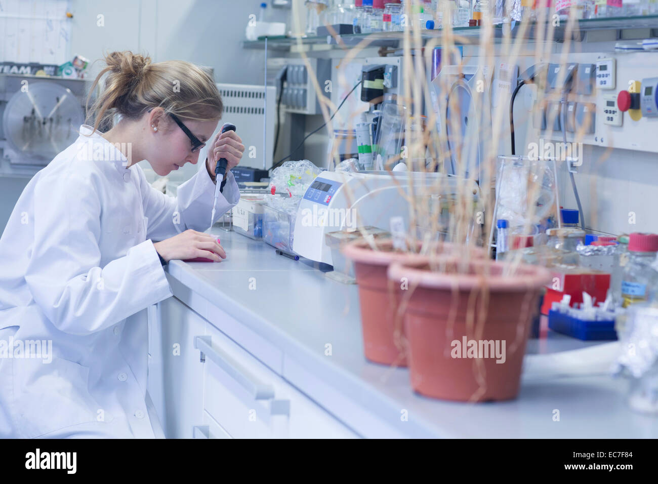 Scientist holding plants in test hi-res stock photography and images ...