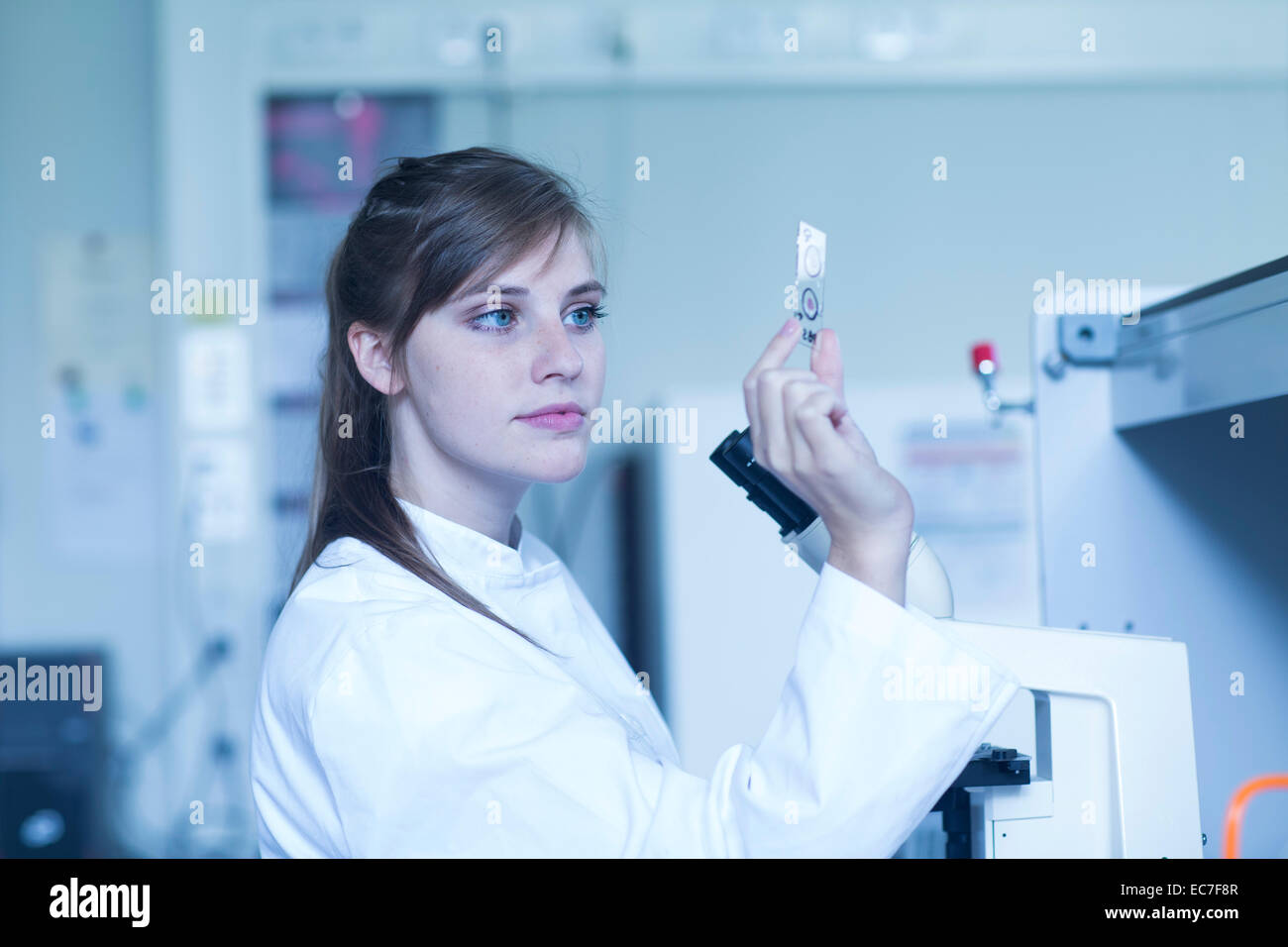 Portrait of young female natural scientist working at microbiology ...