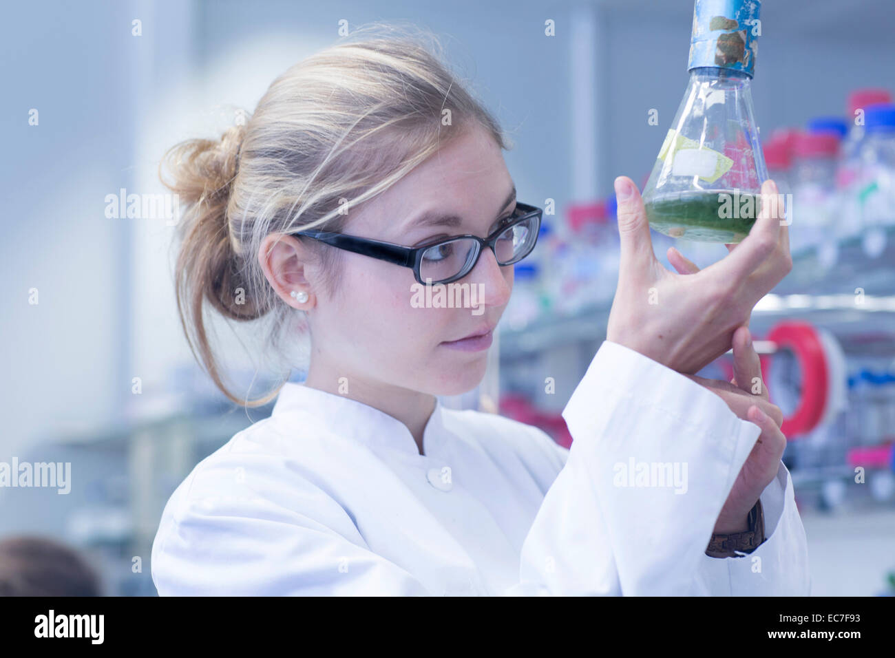 Young scientist working in a lab Stock Photo - Alamy