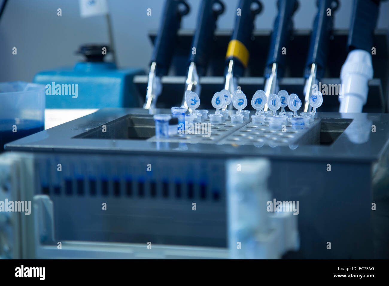 Incubator with tubes at biochemistry labroratory Stock Photo - Alamy