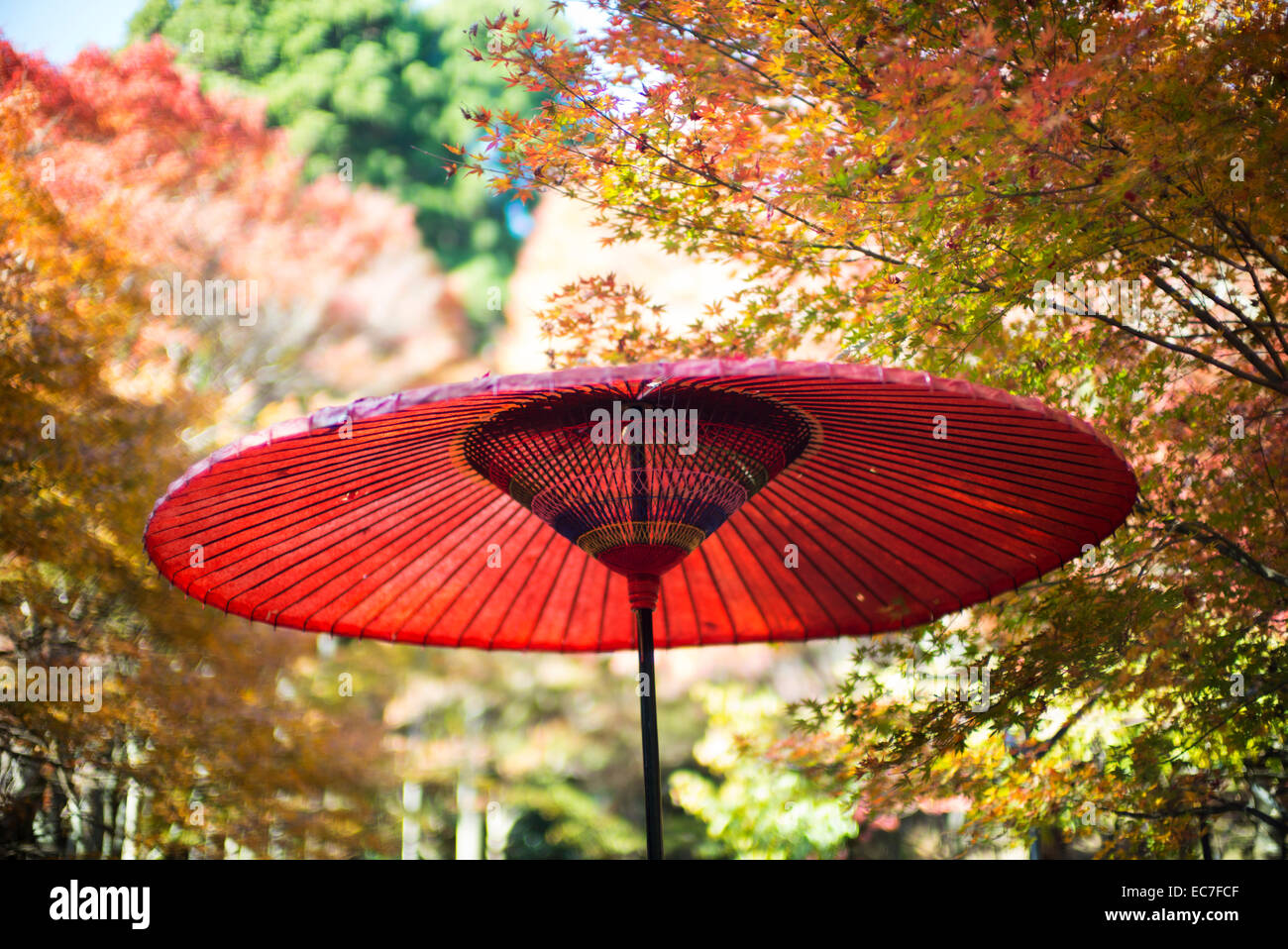 Parasol japan hi-res stock photography and images - Alamy