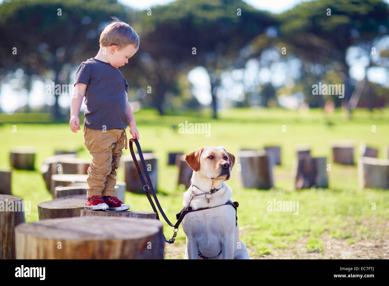Little boy and his dog Stock Photo - Alamy
