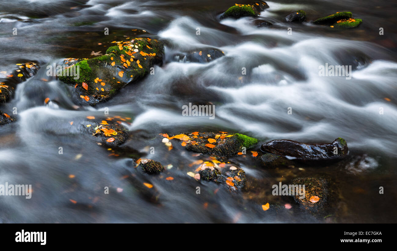 Germany, Bavaria, Bavarian Forest National Park, River Grosser Regen in ...