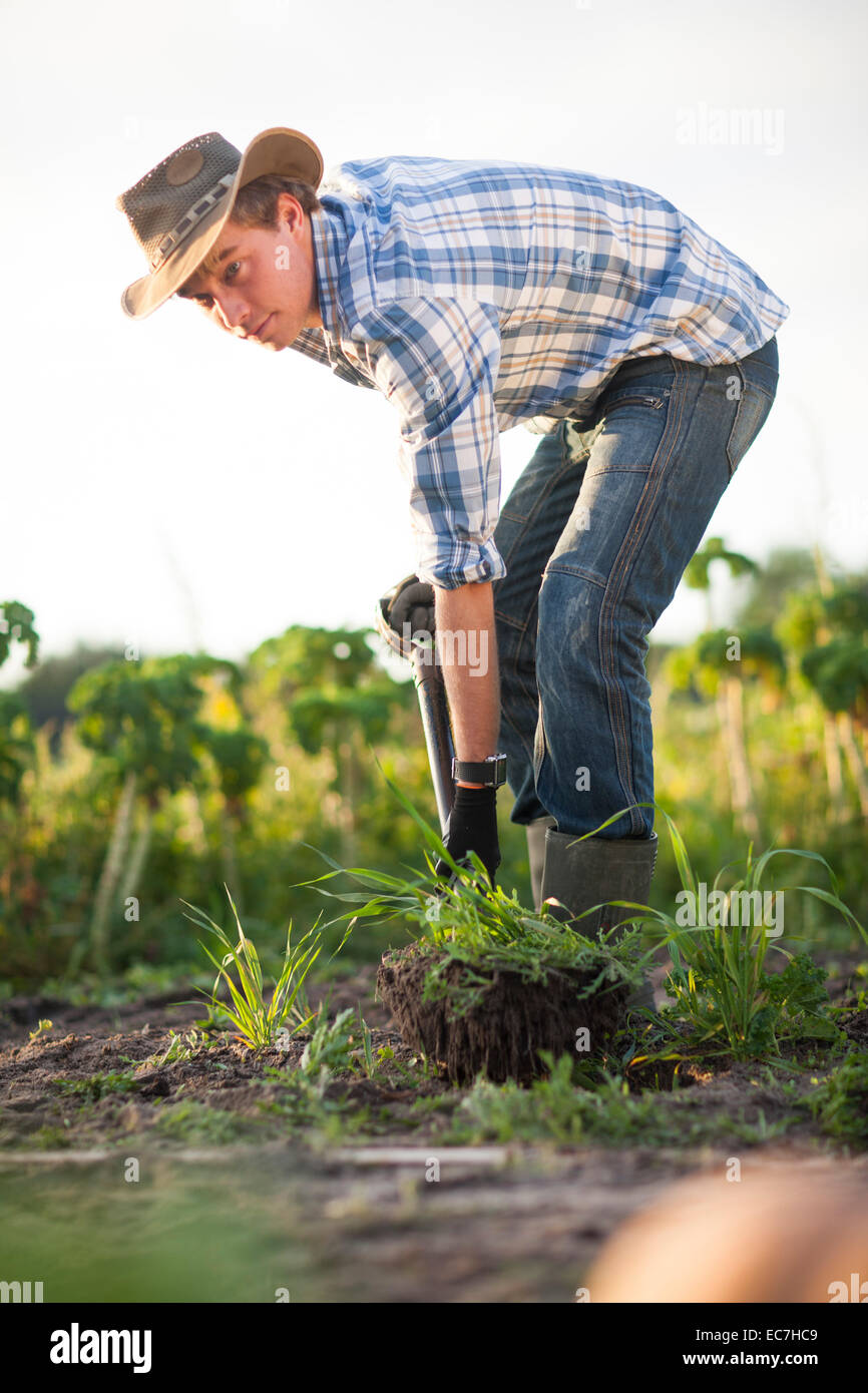 Young man digging on field Stock Photo - Alamy