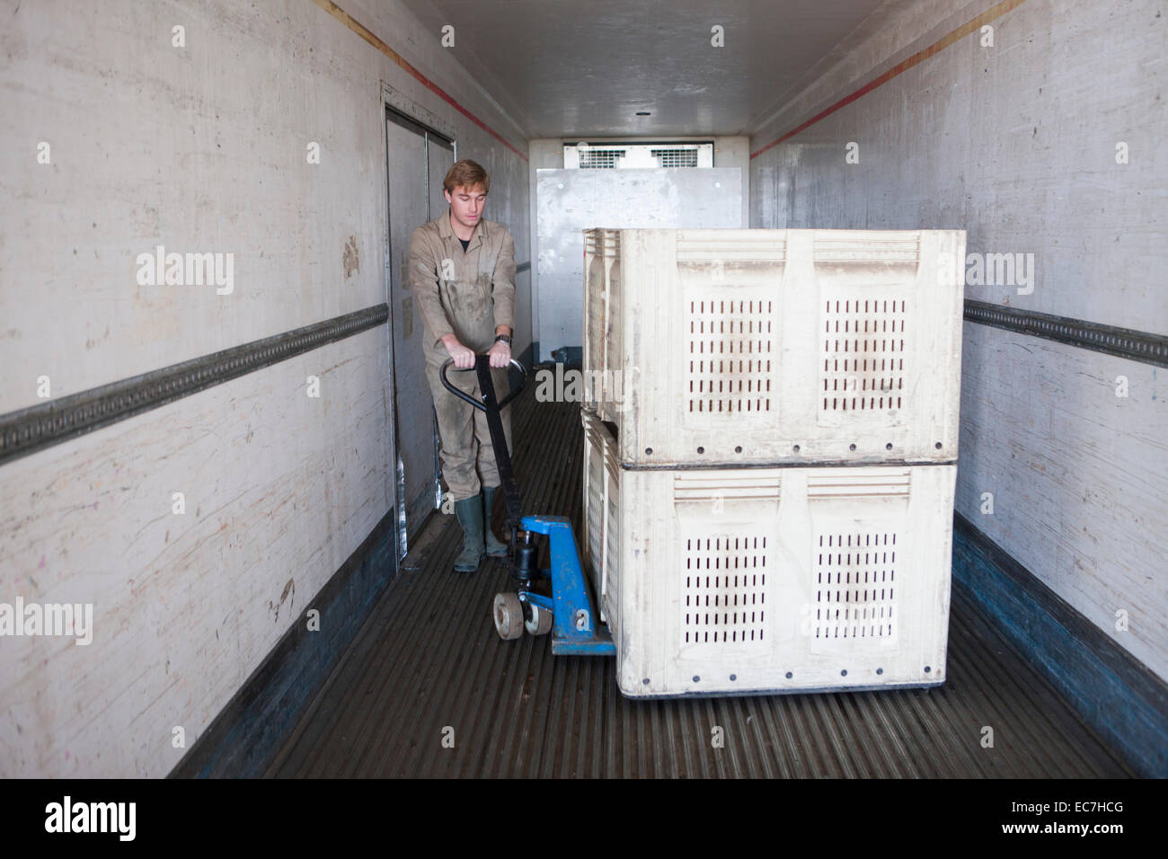 Man loading truck Stock Photo - Alamy