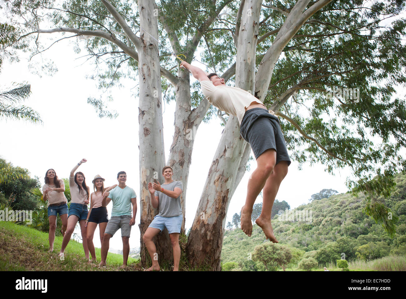 Group of friends cheering while teenager swinging at a tree Stock Photo ...