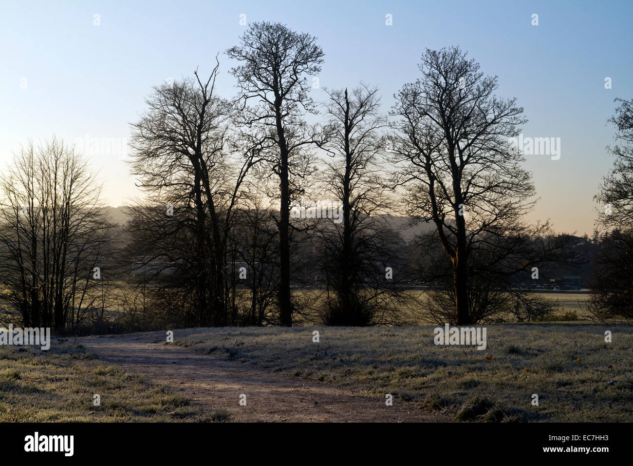 winter morning in Lloyd Park Croydon Stock Photo - Alamy